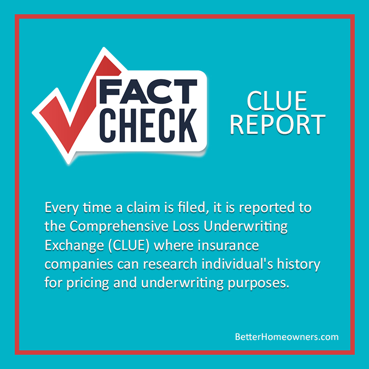 Fact Check - CLUE Report