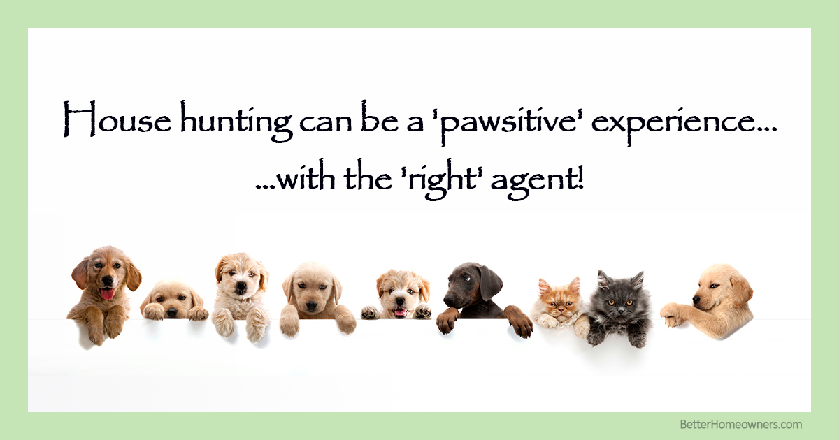 Make it a "Pawsitive" experience